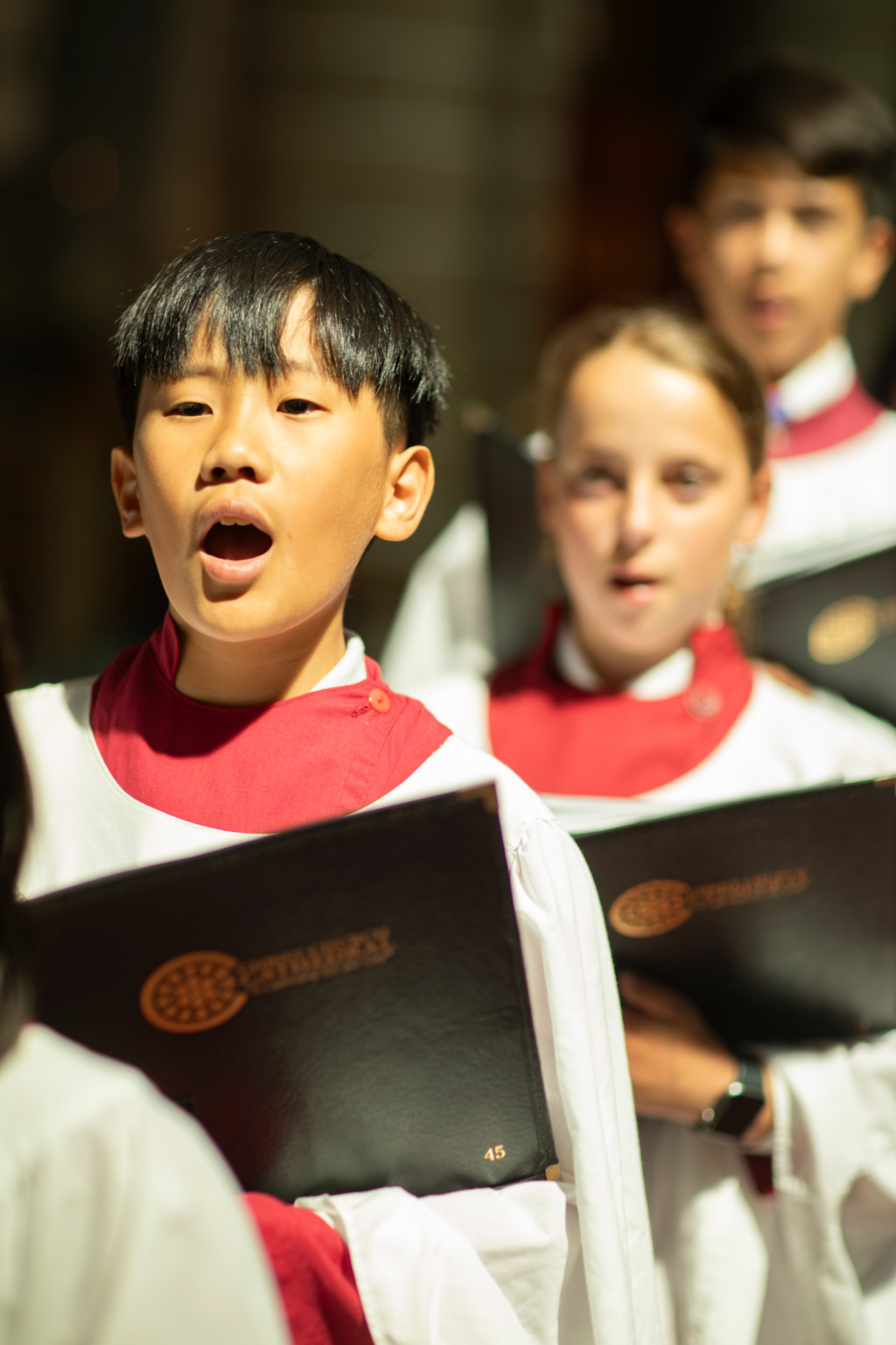 Messiah by Candlelight - Victoria Symphony